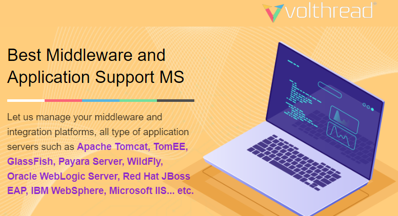 Middleware, Integration and Application Server 24/7 Service and ...