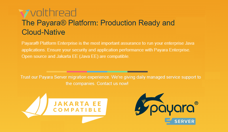 Payara Enterprise and Community Edition Consultancy and Support | Volthread